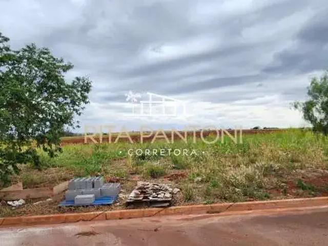 Terreno / Lote para Venda em Cravinhos/SP Centro