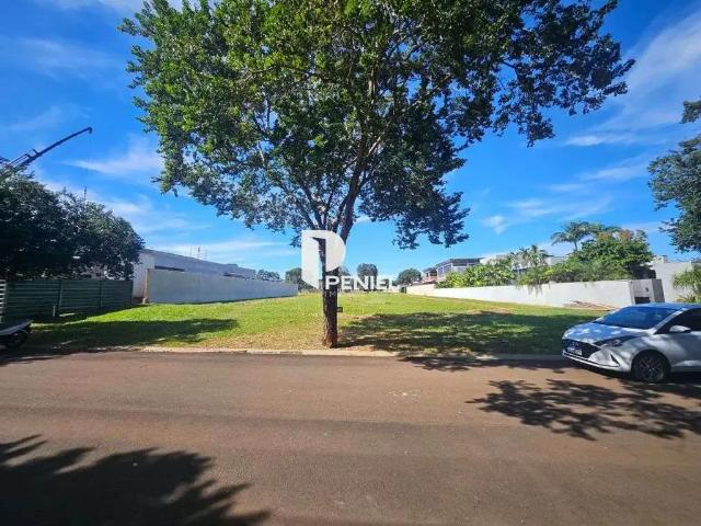 Terreno / Lote para Venda em Cravinhos/SP Fazenda Santa Maria
