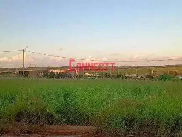 Terreno / Lote para Venda em Cravinhos/SP João Berbel