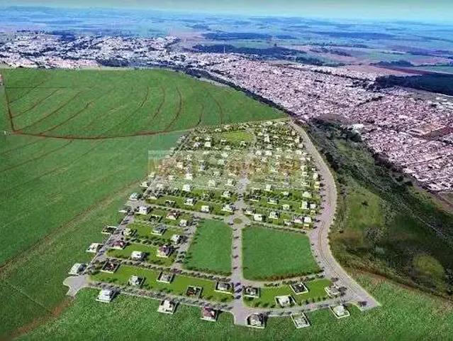 Terreno / Lote para Venda em Cravinhos/SP Nova Cravinhos