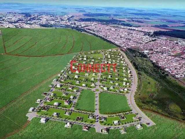 Terreno / Lote para Venda em Cravinhos/SP Nova Cravinhos