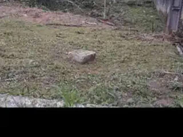 Terreno / Lote para Venda em Criciúma/SC Maria Céu