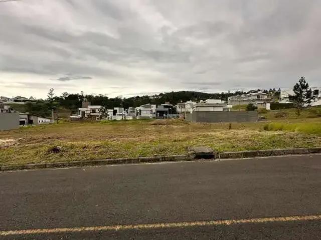 Terreno / Lote para Venda em Criciúma/SC Archimedes Naspolini