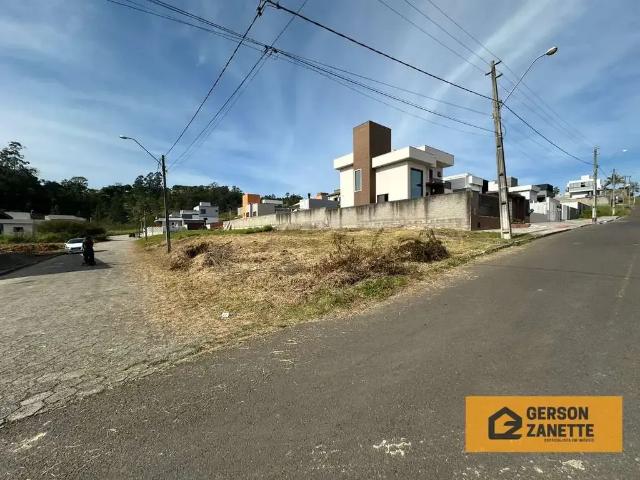 Terreno / Lote para Venda em Criciúma/SC Archimedes Naspolini