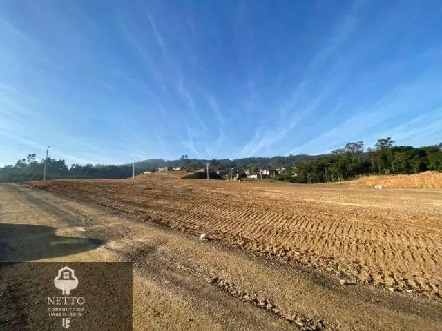 Terreno / Lote para Venda em Criciúma/SC Archimedes Naspolini