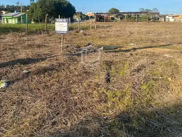 Terreno / Lote para Venda em Criciúma/SC Buenos Aires