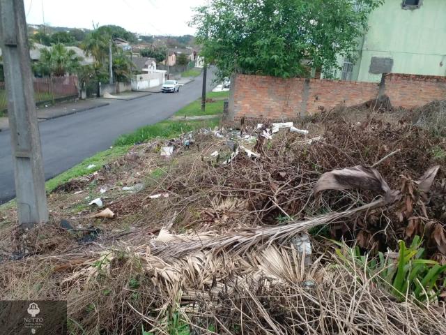 Terreno / Lote para Venda em Criciúma/SC Boa Vista
