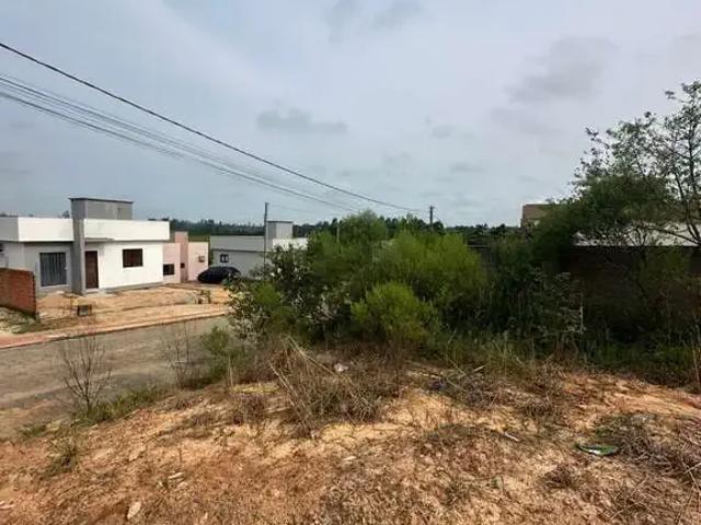 Terreno / Lote para Venda em Criciúma/SC Linha Batista