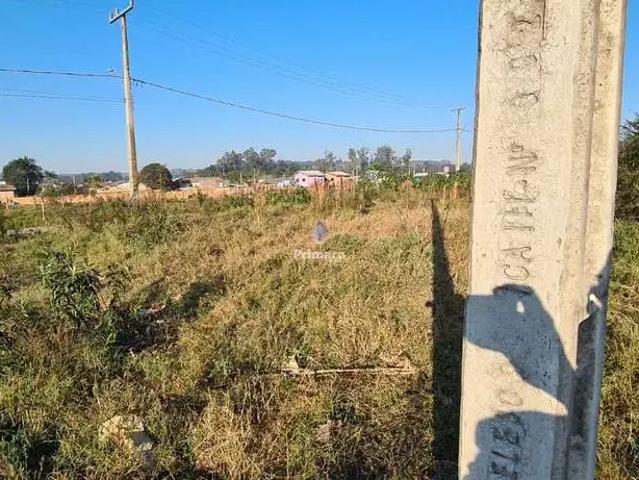 Terreno / Lote para Venda em Criciúma/SC Quarta Linha