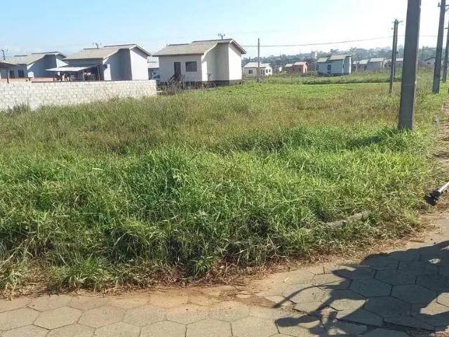 Terreno / Lote para Venda em Criciúma/SC São Defende