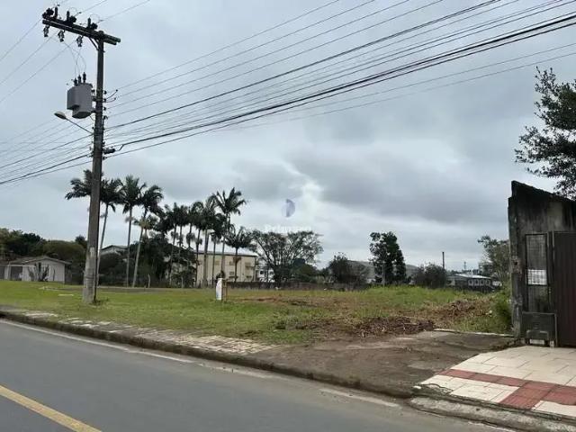 Terreno / Lote para Venda em Criciúma/SC São Luiz