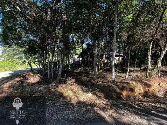 Terreno / Lote para Venda em Criciúma/SC São Simão