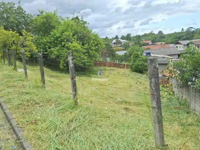 Terreno / Lote para Venda em Criciúma/SC São Simão