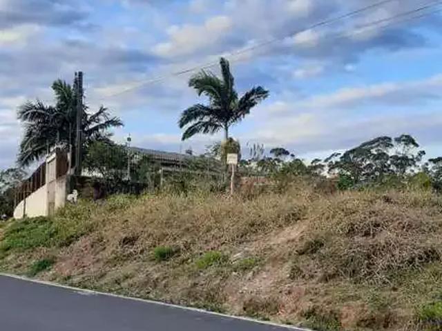 Terreno / Lote para Venda em Criciúma/SC Vila Floresta
