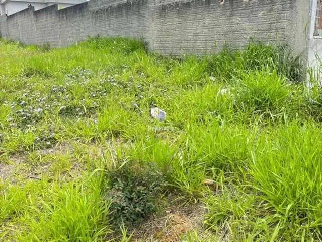Terreno / Lote para Venda em Criciúma/SC Vila Floresta II