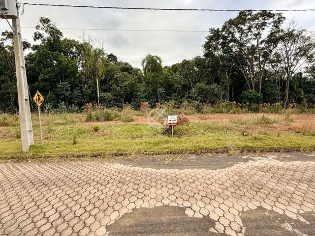 Terreno / Lote para Venda em Criciúma/SC Vila Nova Esperança