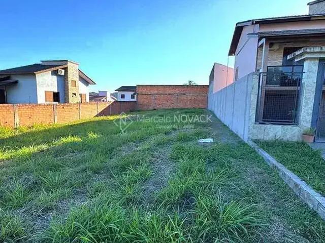 Terreno / Lote para Venda em Criciúma/SC Vila São José