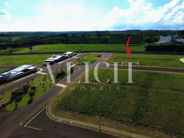 Terreno / Lote para Venda em Cristais Paulista/SP Centro