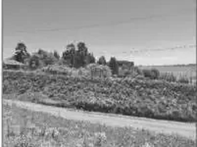 Terreno / Lote para Venda em Cruz Alta/RS Tamoio