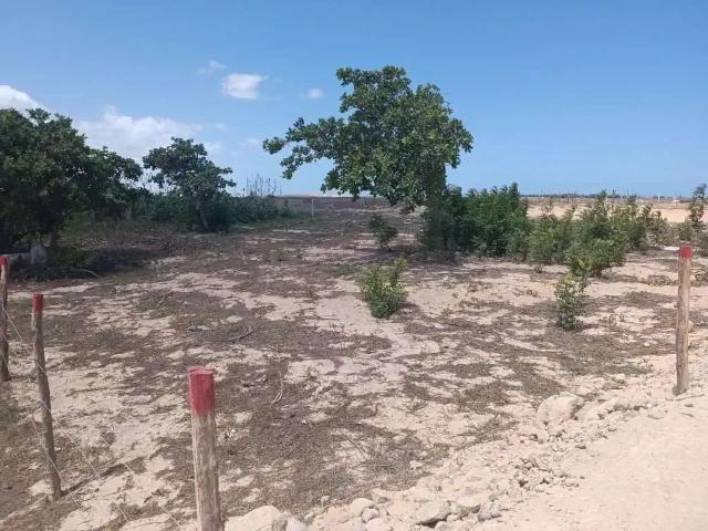Terreno / Lote para Venda em Cruz/CE Preá