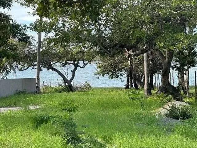 Terreno / Lote para Venda em Cruz/CE Zona Rural