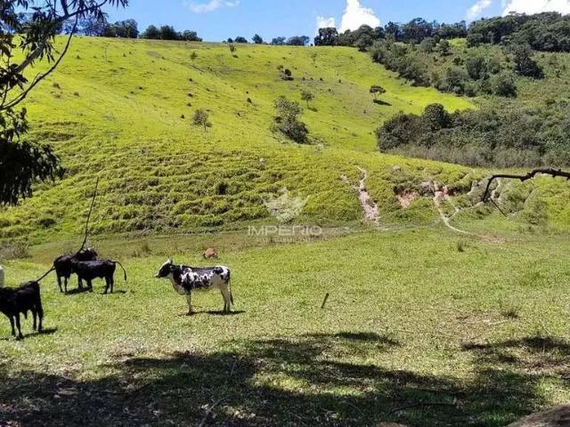 Terreno / Lote para Venda em Crucilândia/MG Zona Rural