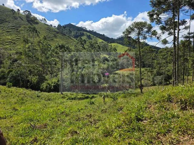 Terreno / Lote para Venda em Cunha/SP Centro