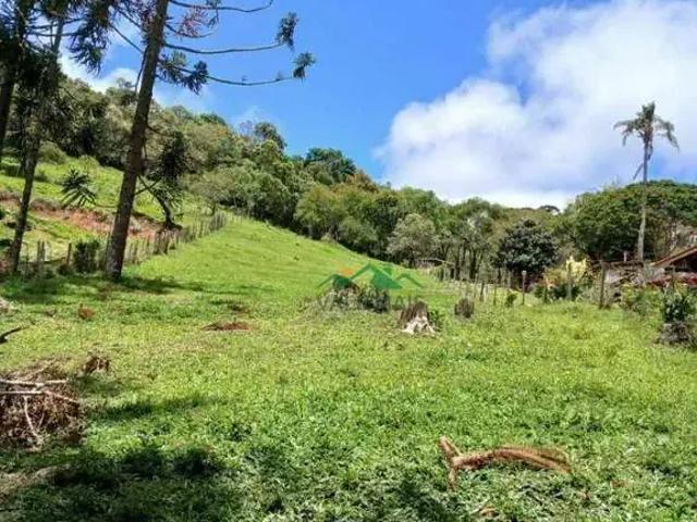 Terreno / Lote para Venda em Cunha/SP Zona Rural