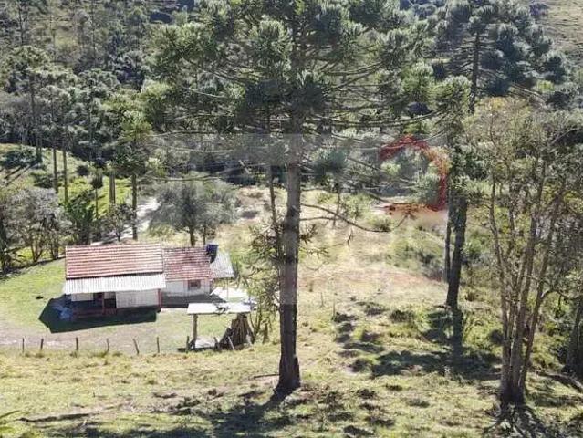 Terreno / Lote para Venda em Cunha/SP Zona Rural
