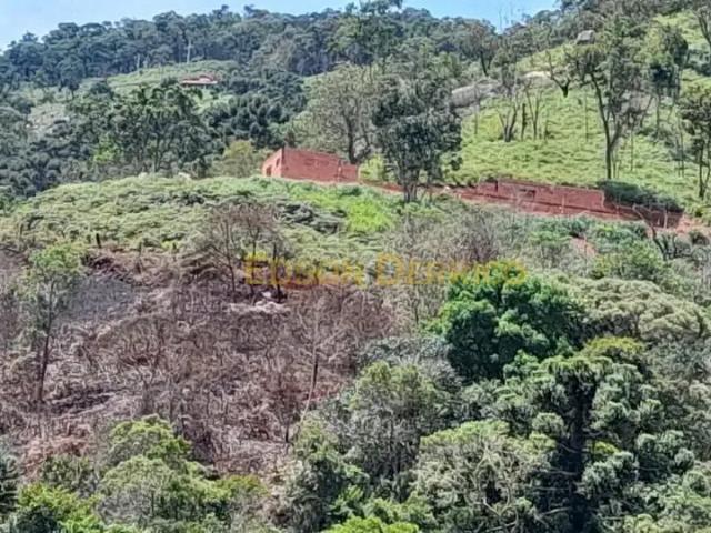 Terreno / Lote para Venda em Cunha/SP Zona Rural