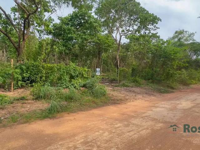 Terreno / Lote para Venda em Cuiabá/MT Coxipó do Ouro