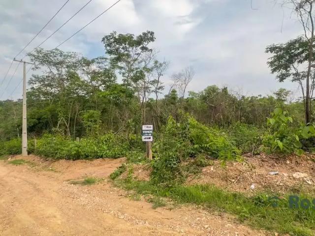 Terreno / Lote para Venda em Cuiabá/MT Coxipó do Ouro