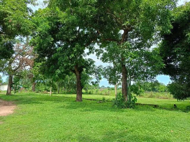 Terreno / Lote para Venda em Cuiabá/MT Distrito Industrial