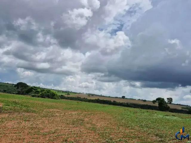 Terreno / Lote para Venda em Cuiabá/MT Distrito Industrial