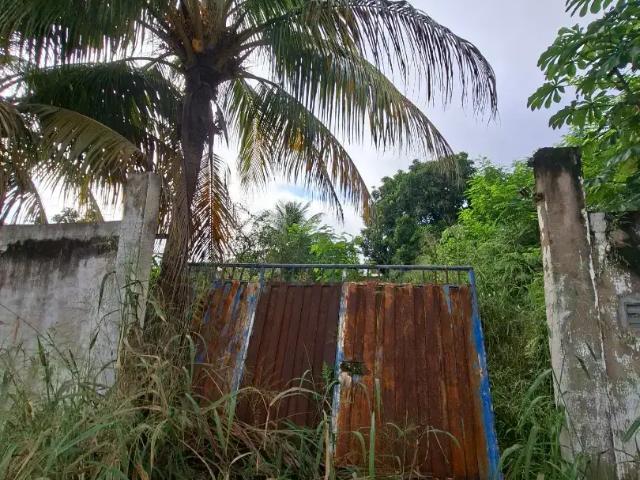 Terreno / Lote para Venda em Cuiabá/MT Jardim Presidente I