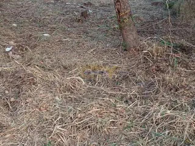 Terreno / Lote para Venda em Cuiabá/MT Parque Residencial Tropical Ville