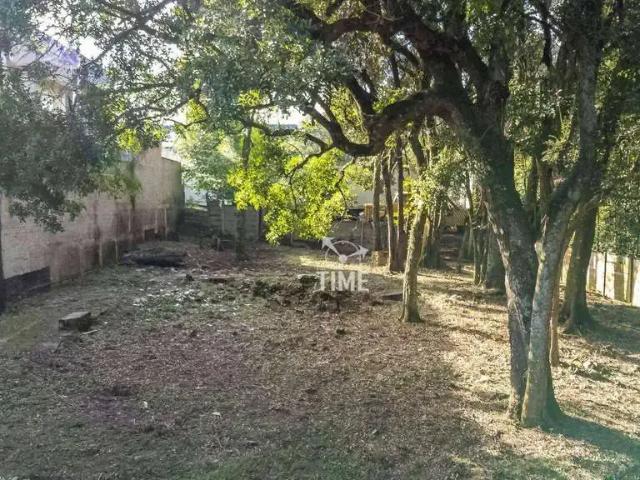 Terreno / Lote para Venda em Curitiba/PR Mossunguê