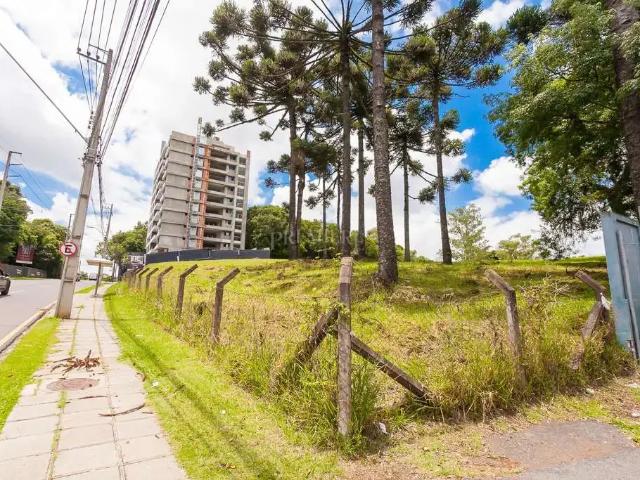 Terreno / Lote para Venda em Curitiba/PR Mossunguê