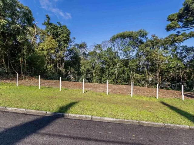 Terreno / Lote para Venda em Curitiba/PR Mossunguê