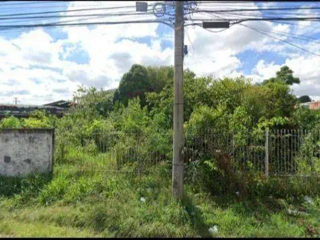 Terreno / Lote para Venda em Curitiba/PR Novo Mundo