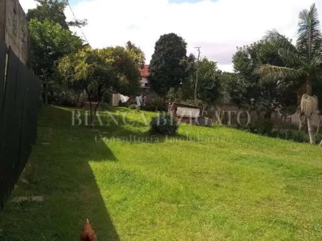 Terreno / Lote para Venda em Curitiba/PR Orleans
