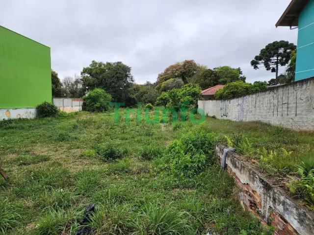 Terreno / Lote para Venda em Curitiba/PR Orleans