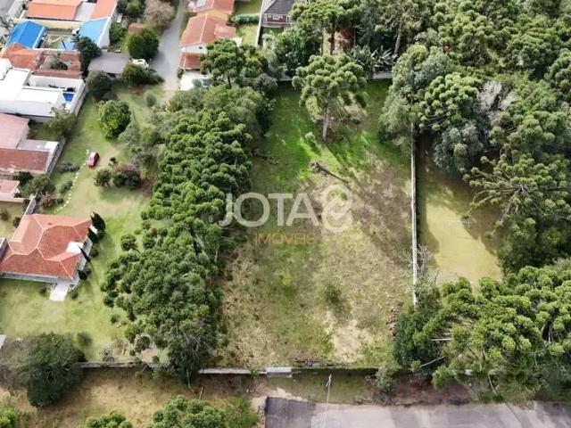 Terreno / Lote para Venda em Curitiba/PR Orleans
