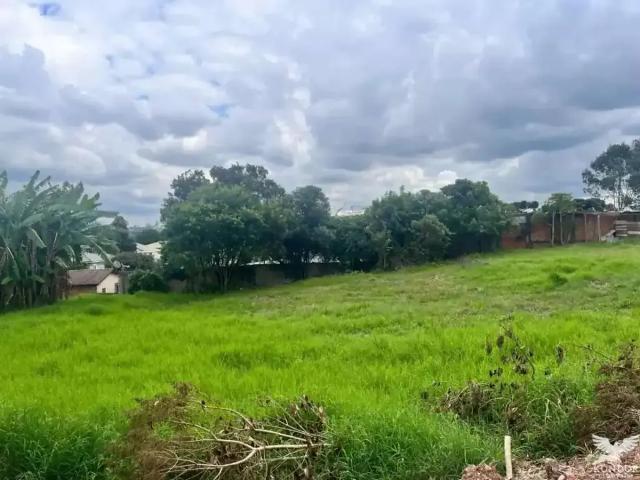 Terreno / Lote para Venda em Curitiba/PR Augusta