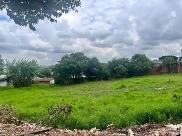 Terreno / Lote para Venda em Curitiba/PR Augusta