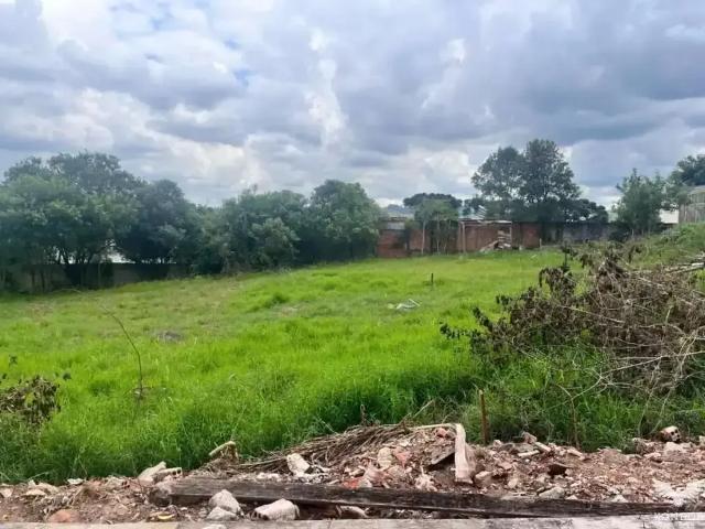 Terreno / Lote para Venda em Curitiba/PR Augusta