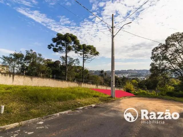 Terreno / Lote para Venda em Curitiba/PR Abranches