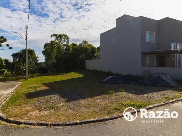 Terreno / Lote para Venda em Curitiba/PR Abranches
