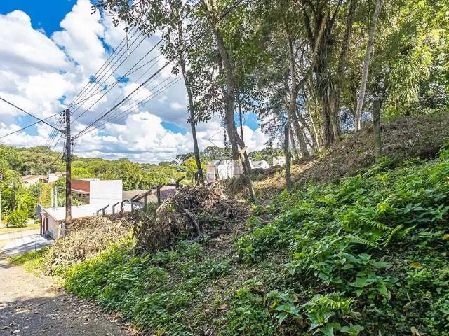 Terreno / Lote para Venda em Curitiba/PR Abranches