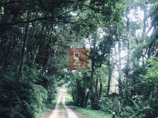 Terreno / Lote para Venda em Curitiba/PR Abranches